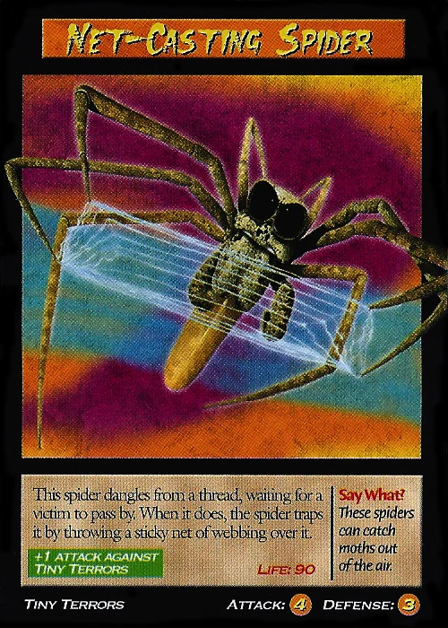 Net-Casting Spider | Weird n' Wild Creatures Wiki | Fandom
