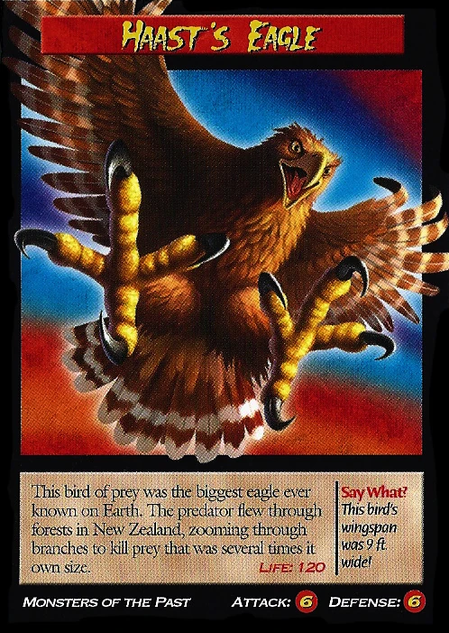 Haast's Eagle | Weird n' Wild Creatures Wiki | Fandom