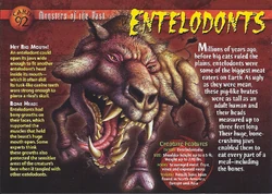 Entelodonts | Weird n' Wild Creatures Wiki | Fandom
