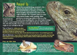 Chuckwalla | Weird n' Wild Creatures Wiki | Fandom