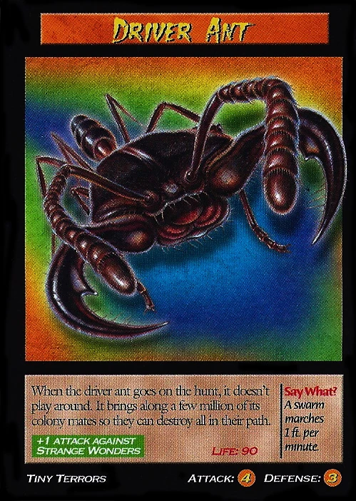 Driver Ant | Weird n' Wild Creatures Wiki | Fandom