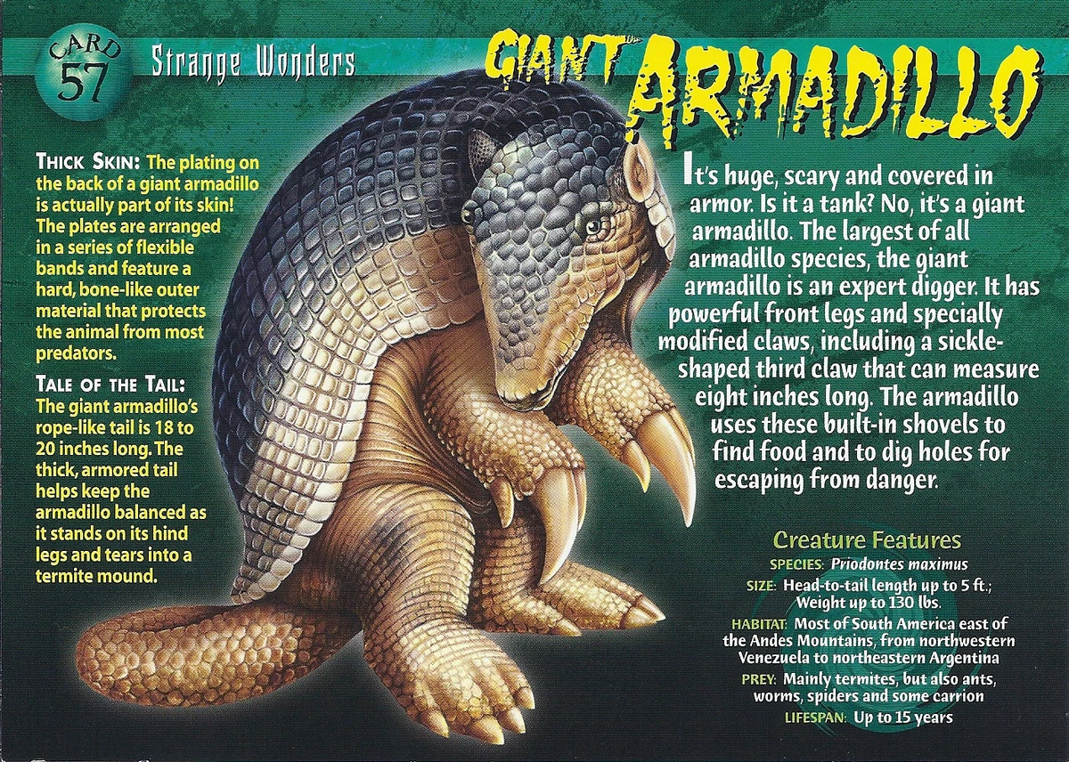 Giant Armadillo | Weird n' Wild Creatures Wiki | Fandom