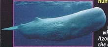 Moby Dick | Weird n' Wild Creatures Wiki | Fandom