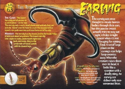 Earwig | Weird n' Wild Creatures Wiki | Fandom