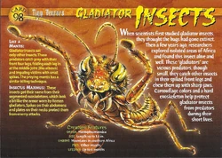 Gladiator Insects | Weird n' Wild Creatures Wiki | Fandom