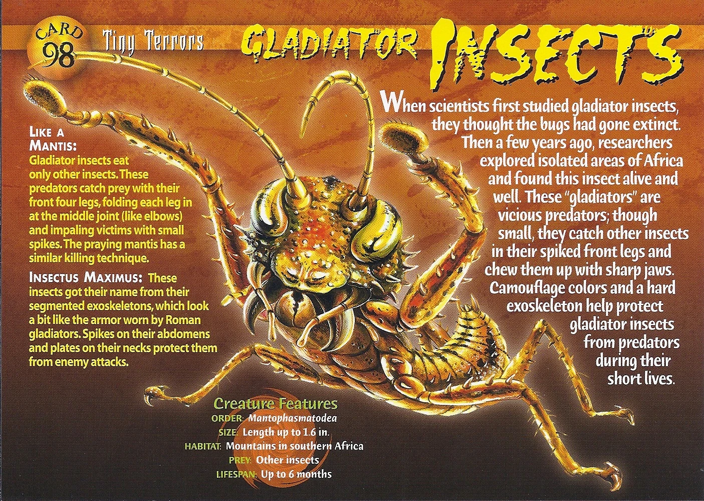 Gladiator Insects | Weird n' Wild Creatures Wiki | Fandom