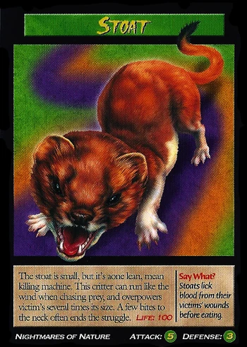 Stoat | Weird n' Wild Creatures Wiki | Fandom