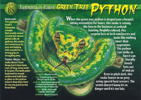 Green Tree Python | Weird n' Wild Creatures Wiki | Fandom