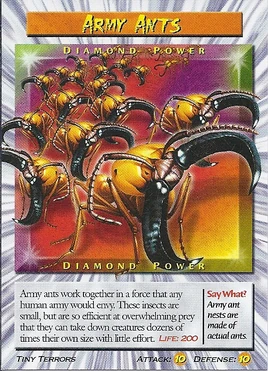 Army Ant | Weird n' Wild Creatures Wiki | Fandom