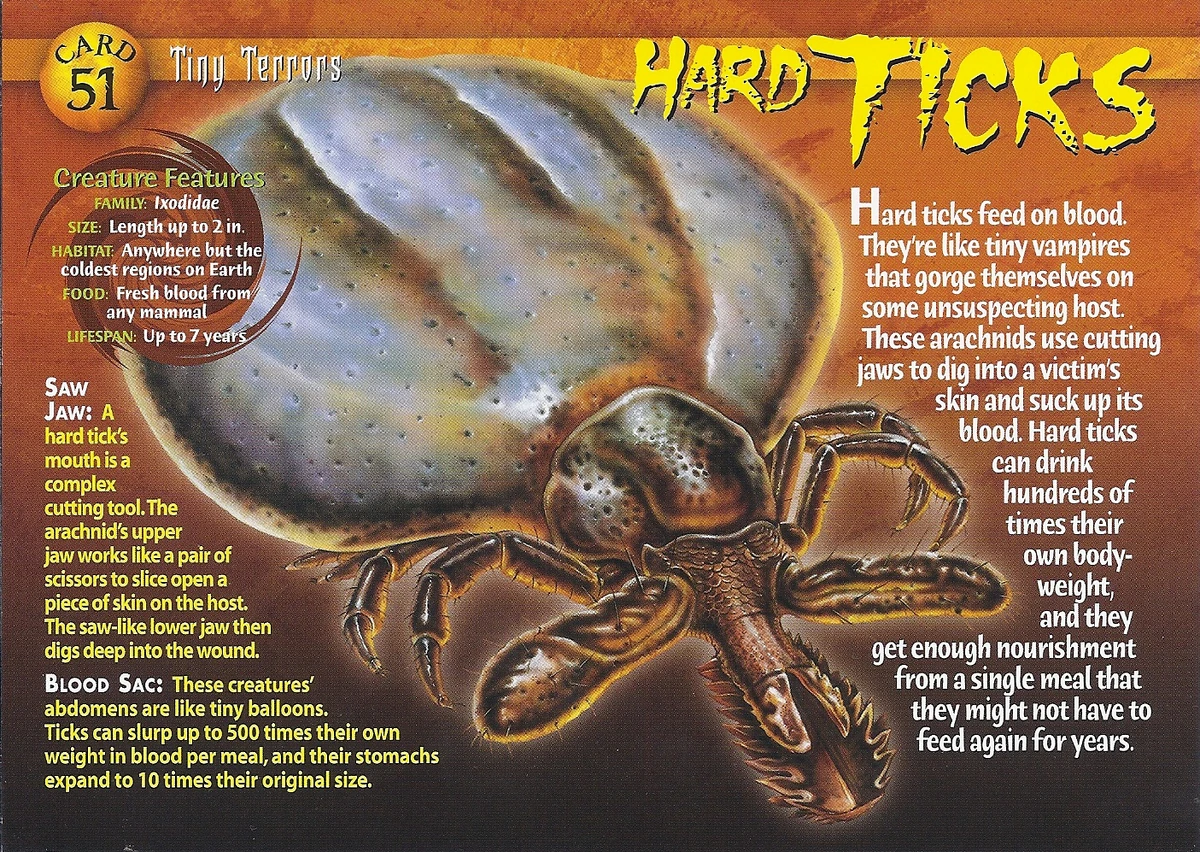 Hard Ticks | Weird n' Wild Creatures Wiki | Fandom