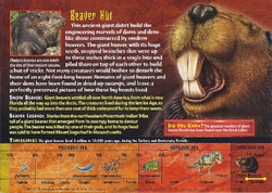 Giant Beaver | Weird n' Wild Creatures Wiki | Fandom