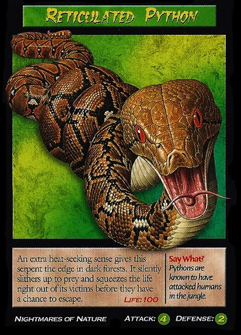 Reticulated Python | Weird n' Wild Creatures Wiki | Fandom