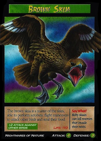 Brown Skua | Weird n' Wild Creatures Wiki | Fandom