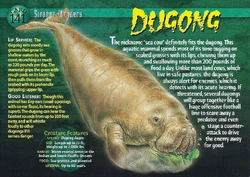 Dugong | Weird n' Wild Creatures Wiki | Fandom