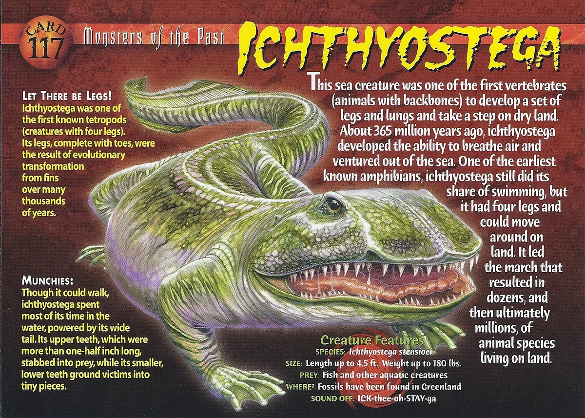 Ichthyostega | Weird n' Wild Creatures Wiki | Fandom
