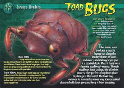 Toad Bugs | Weird n' Wild Creatures Wiki | Fandom