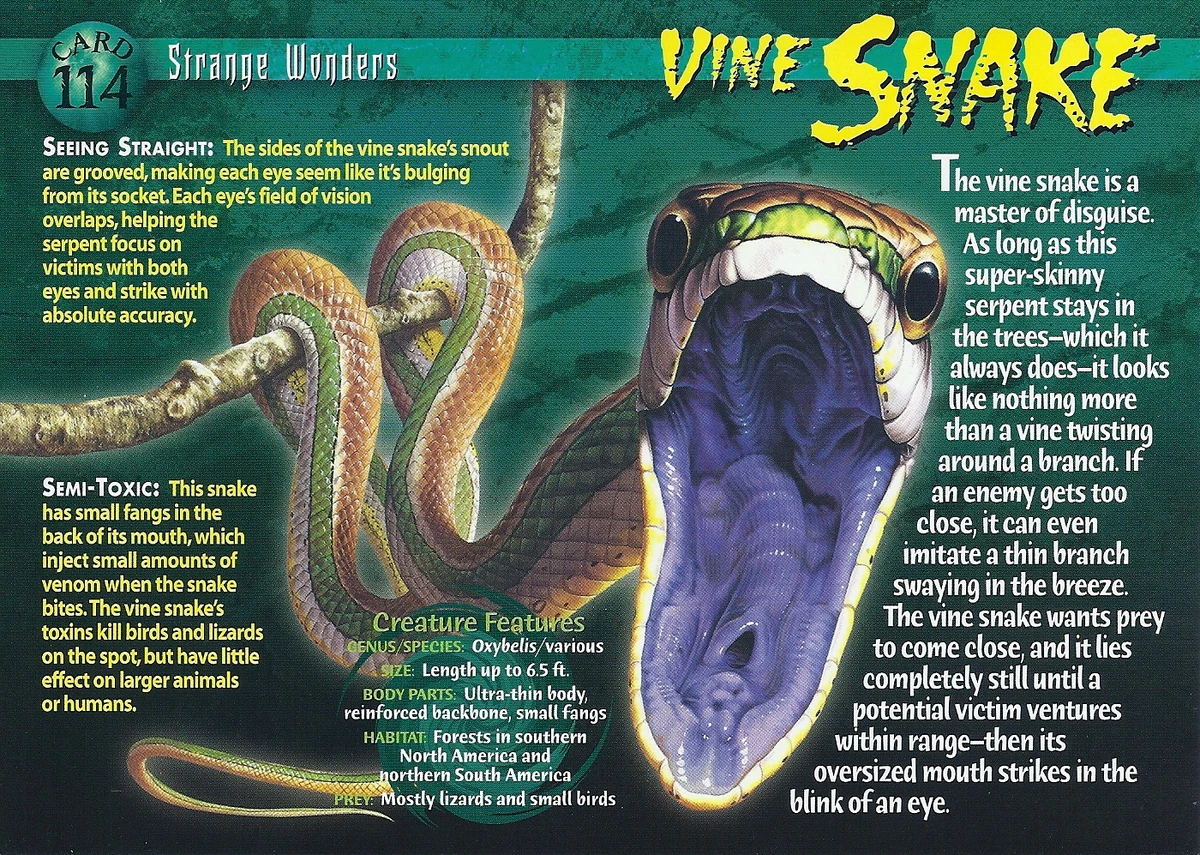 Vine Snake | Weird n' Wild Creatures Wiki | Fandom