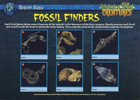Monster Mania 104 | Weird n' Wild Creatures Wiki | Fandom