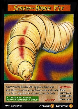 Screw-Worm Fly | Weird n' Wild Creatures Wiki | Fandom