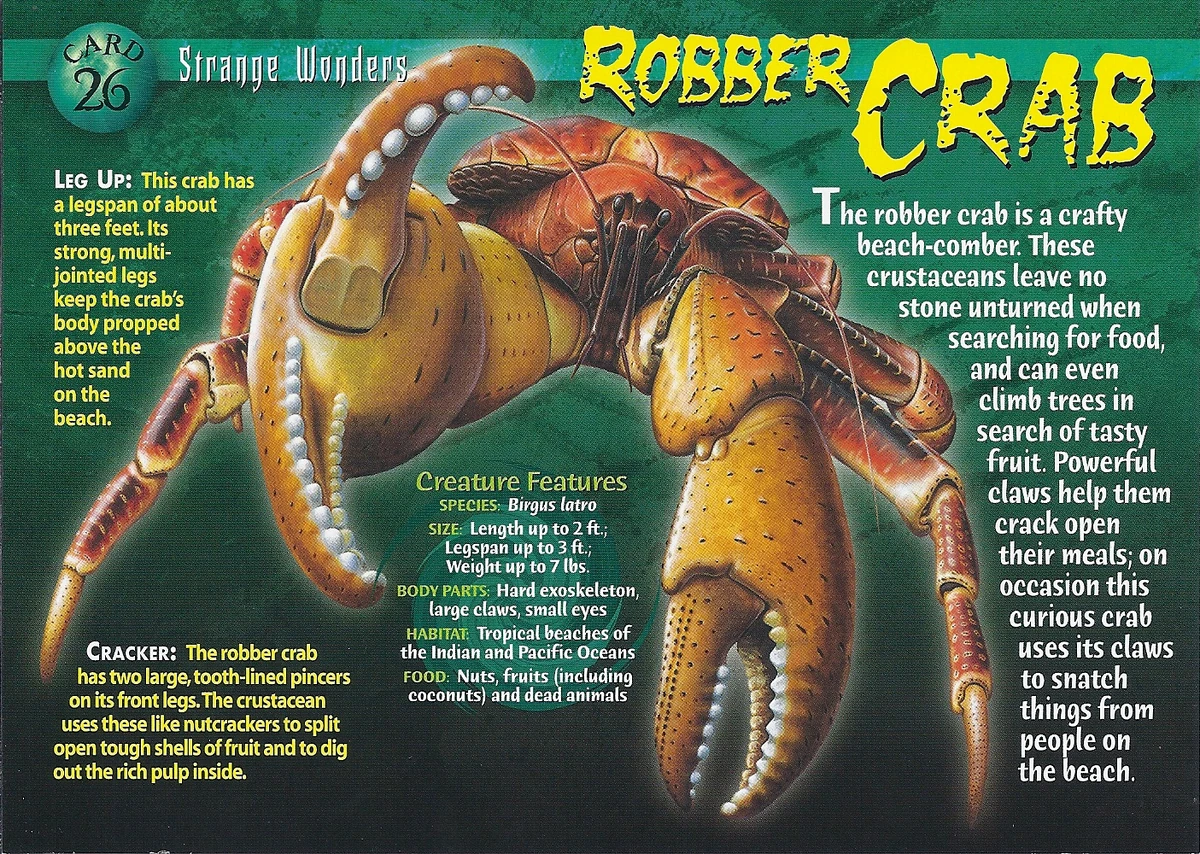 Robber Crab | Weird n' Wild Creatures Wiki | Fandom
