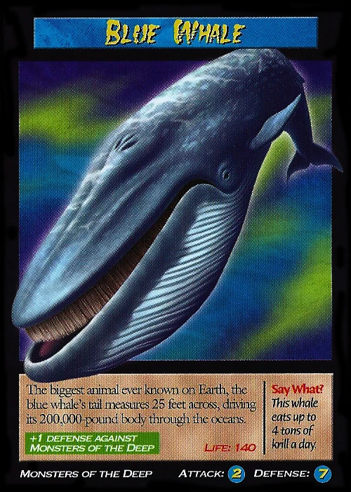 Blue Whale | Weird n' Wild Creatures Wiki | Fandom