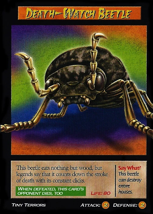 Death-Watch Beetle | Weird n' Wild Creatures Wiki | Fandom