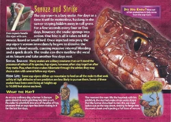 Asp Viper | Weird n' Wild Creatures Wiki | Fandom