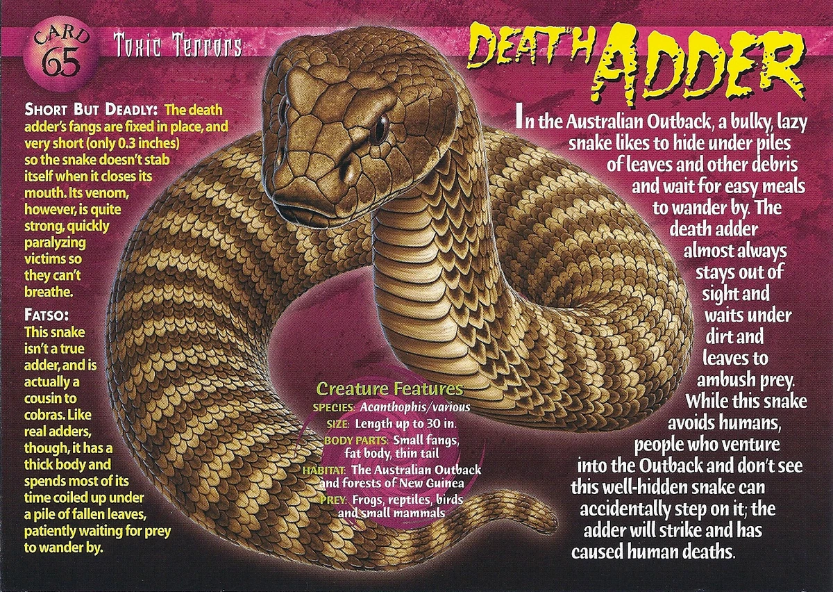 Death Adder | Weird n' Wild Creatures Wiki | Fandom