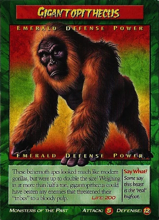 Gigantopithecus Fós Beo Gigantopithecus Size, Diet, Fossils & Facts