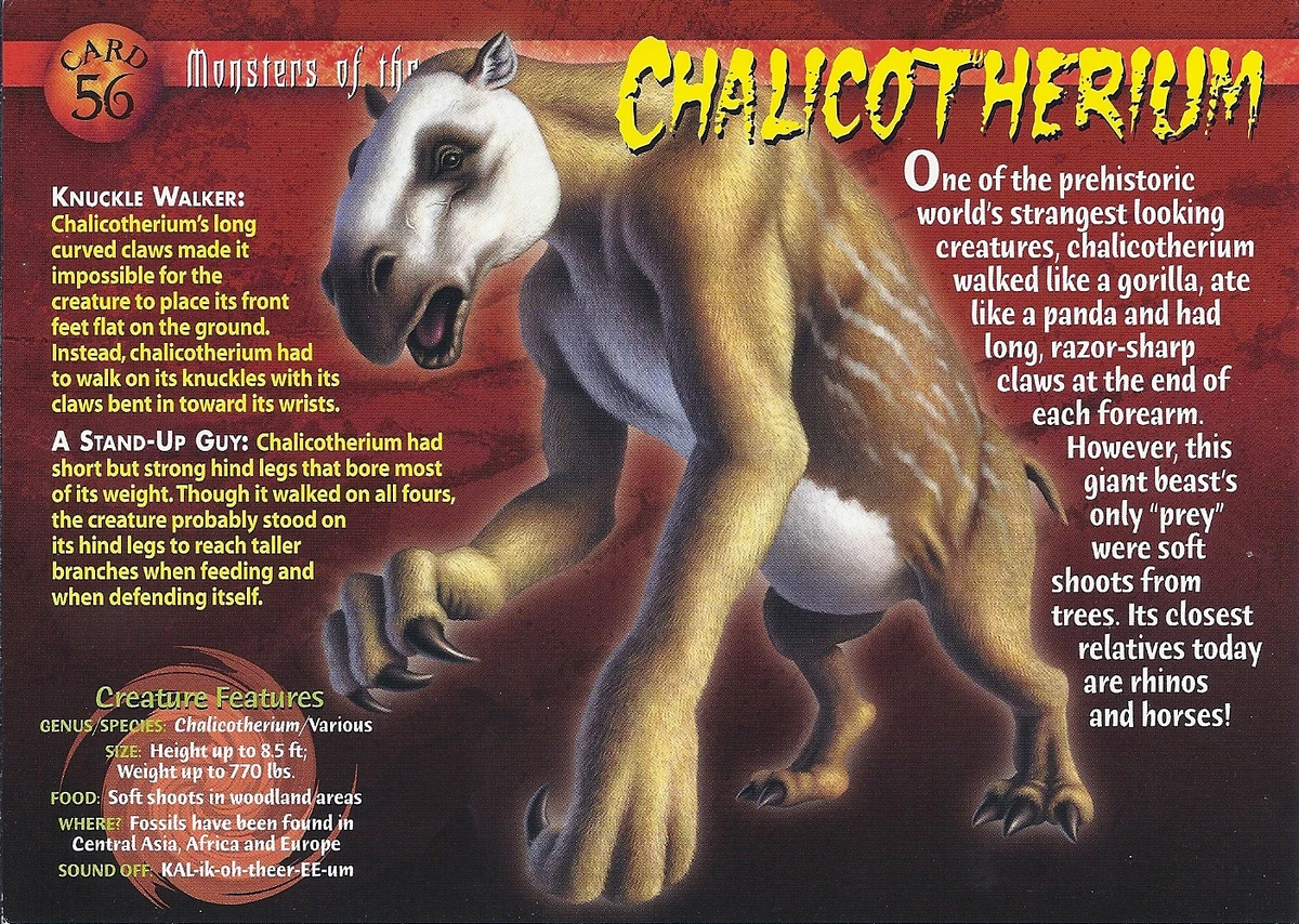 Chalicotherium | Weird n' Wild Creatures Wiki | Fandom