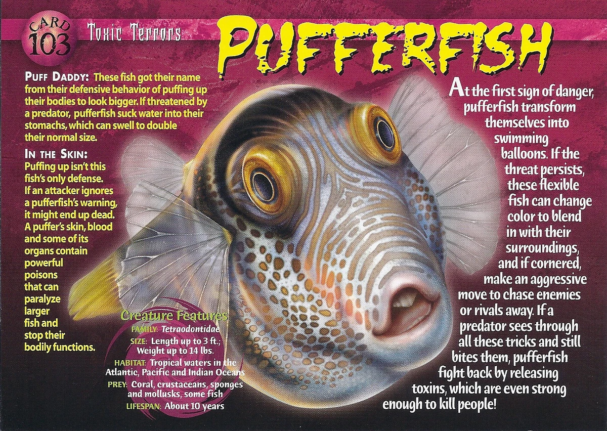 Pufferfish | Weird n' Wild Creatures Wiki | Fandom