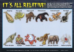 Monster Mania 98 | Weird n' Wild Creatures Wiki | Fandom