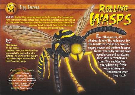 Rolling Wasps | Weird n' Wild Creatures Wiki | Fandom