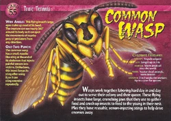 Common Wasp | Weird n' Wild Creatures Wiki | Fandom
