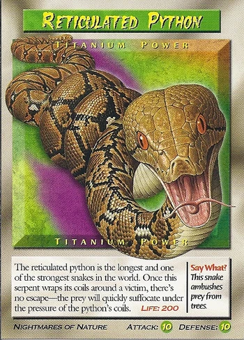 Reticulated Python | Weird n' Wild Creatures Wiki | Fandom