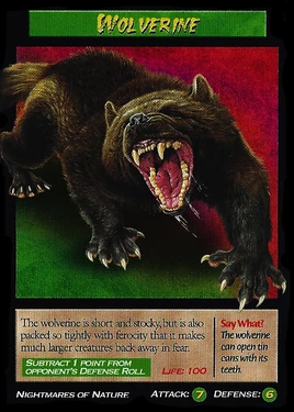Wolverine | Weird n' Wild Creatures Wiki | Fandom