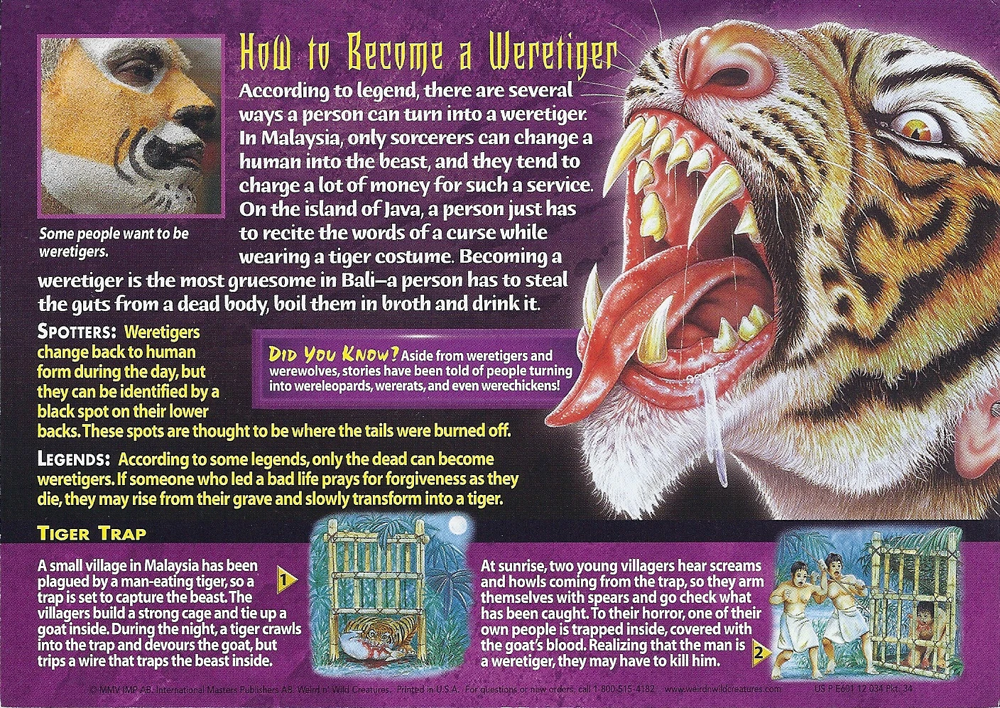 Weretiger Transformasjon Weretiger | Here Be Dragons Wiki | Fandom