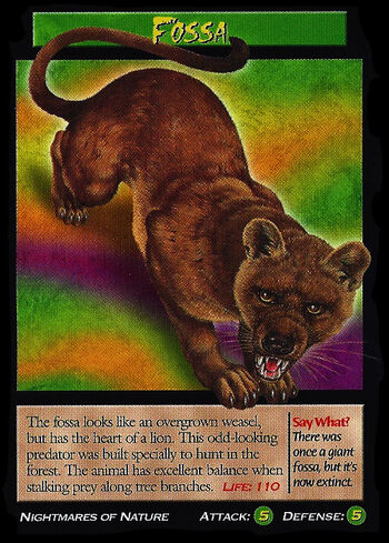 Fossa | Weird n' Wild Creatures Wiki | Fandom
