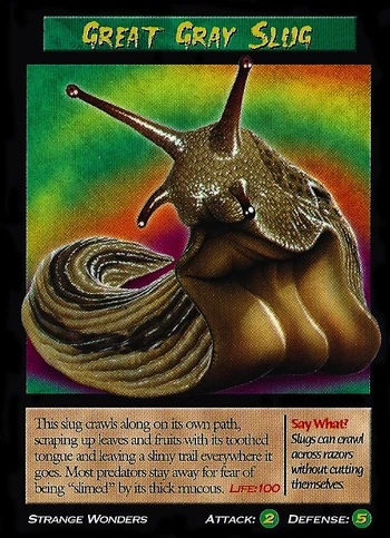 Great Gray Slug | Weird n' Wild Creatures Wiki | Fandom