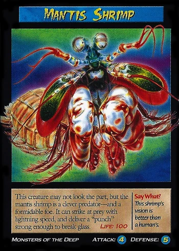 Mantis Shrimp | Weird n' Wild Creatures Wiki | Fandom