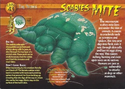 Scabies Mite | Weird n' Wild Creatures Wiki | Fandom