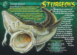Sturgeons | Weird n' Wild Creatures Wiki | Fandom