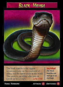 black mamba attacks man