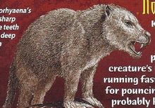 Borhyaena | Weird n' Wild Creatures Wiki | Fandom