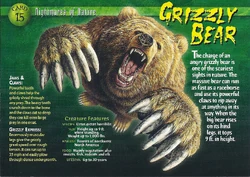 Grizzly Bear | Weird n' Wild Creatures Wiki | Fandom