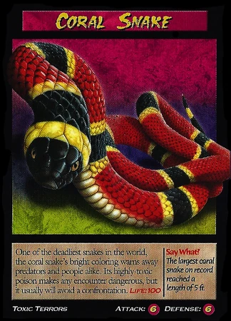 Coral Snake Vs King Snake Rhyme