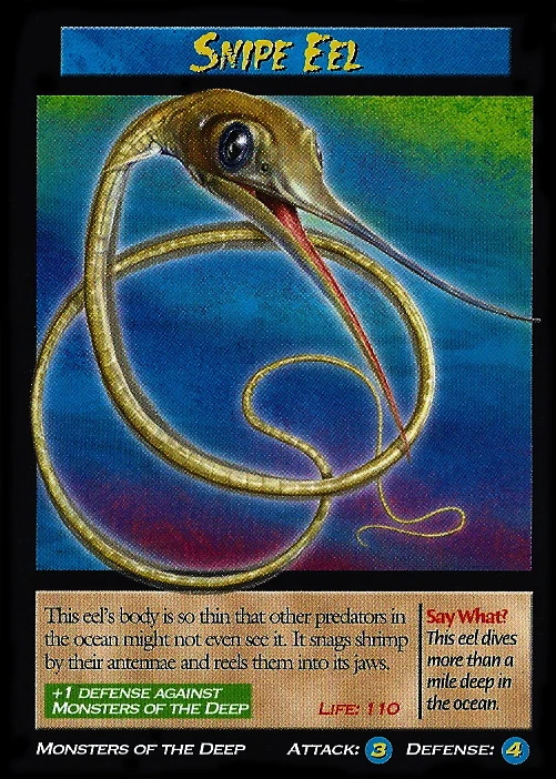Snipe Eel | Weird n' Wild Creatures Wiki | Fandom