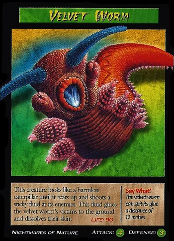 Velvet Worm | Weird n' Wild Creatures Wiki | Fandom