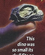 Mussaurus | Weird n' Wild Creatures Wiki | Fandom