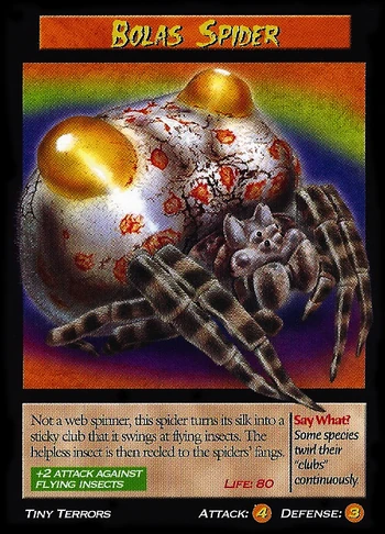 Bolas Spiders | Weird n' Wild Creatures Wiki | Fandom